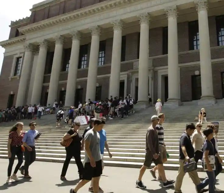 Harvard Morons: 43% of White Students Admitted as ‘Affirmative Action ...